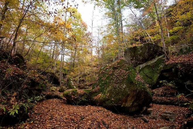 shanty hollow lake hiking trail