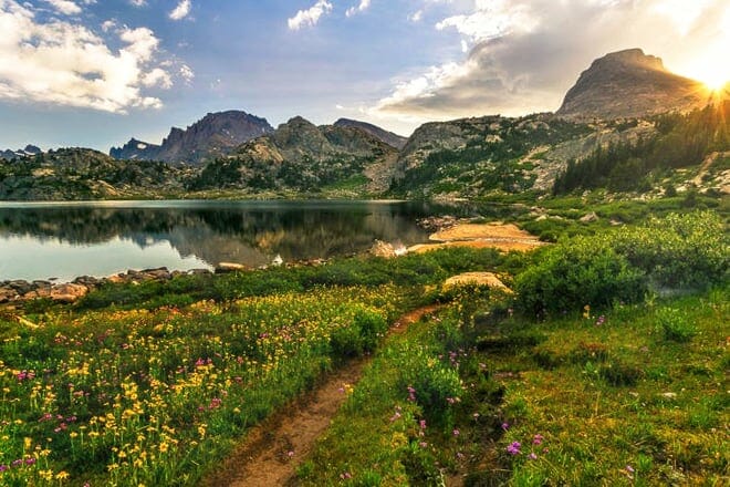 shoshone national forest