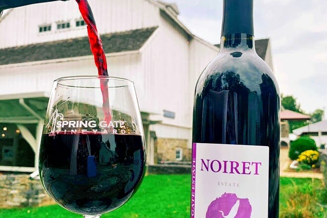 spring gate vineyard