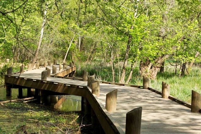 springfield conservation nature center