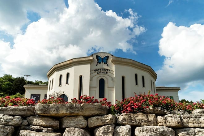 the butterfly palace & rainforest adventure