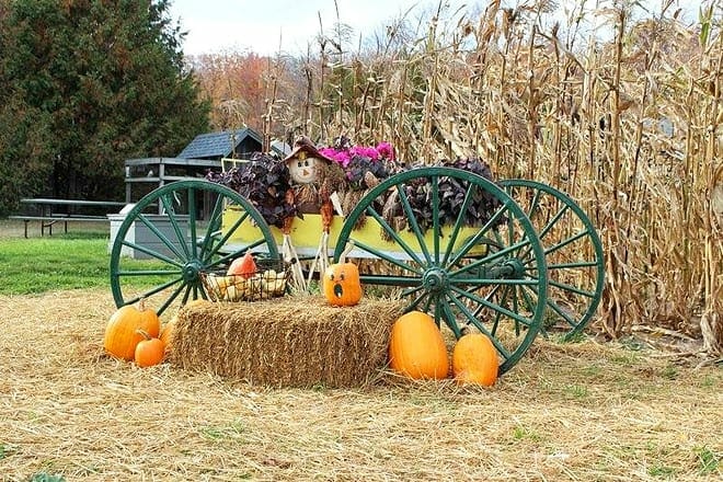 the farm &mdash; sturgeon bay