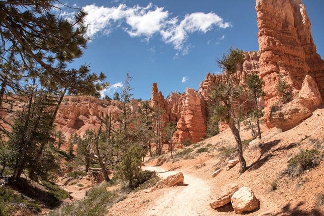 the navajo loop trail
