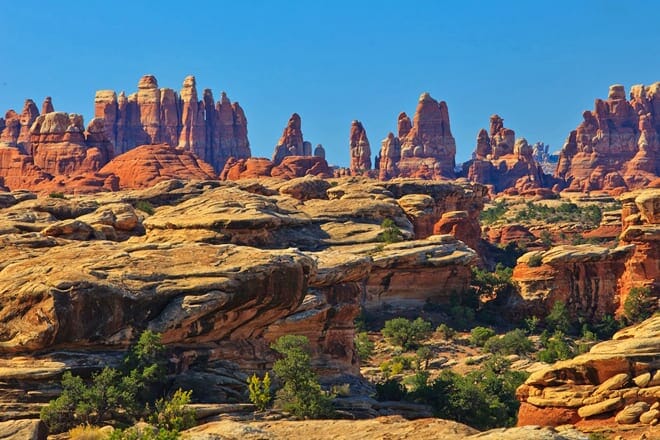 the needles, canyonlands