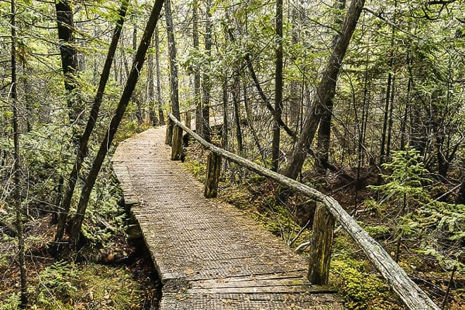 the ridges sanctuary &mdash; baileys harbor