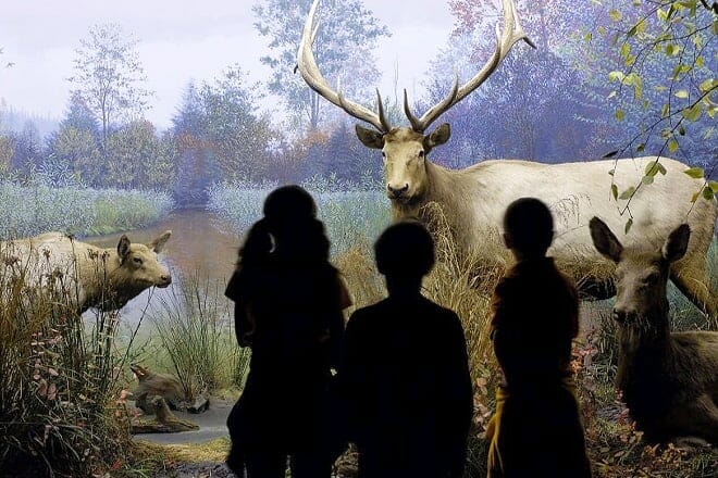 the state museum of pennsylvania