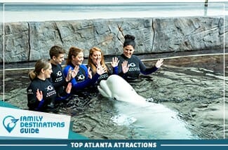 top atlanta attractions