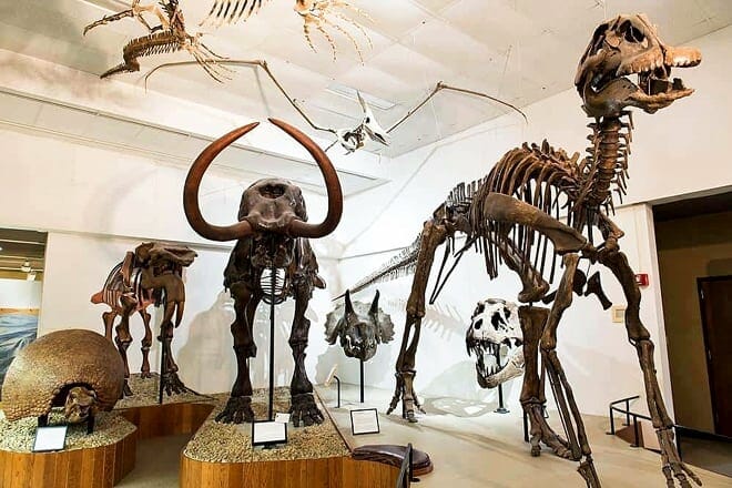 university of wisconsin geology museum