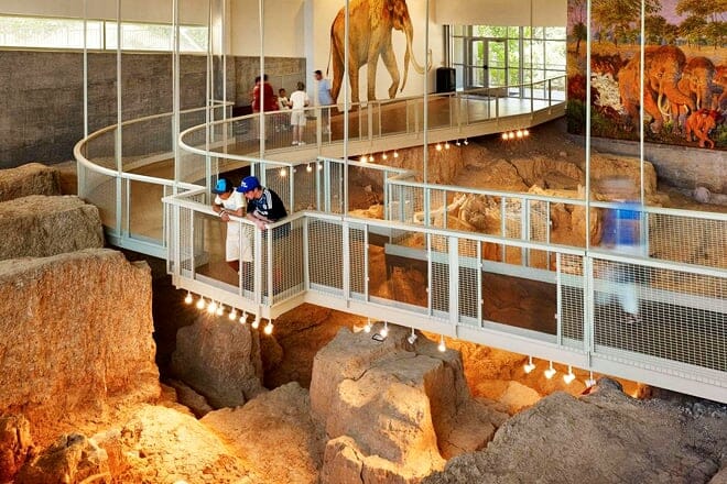 waco mammoth national monument