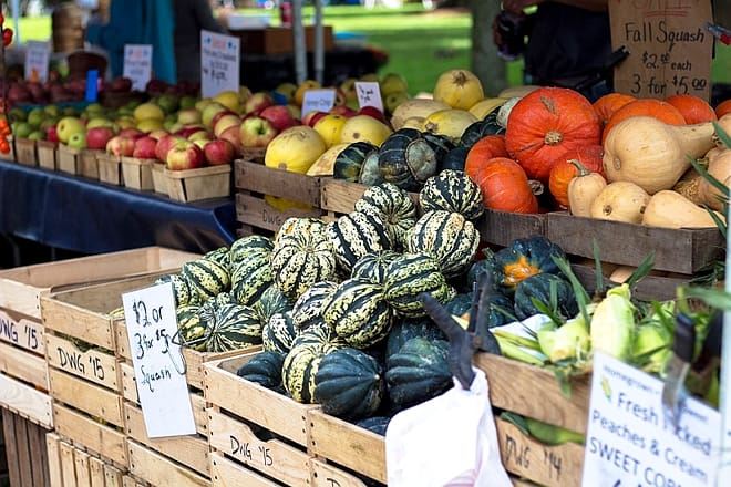 watauga county farmers market