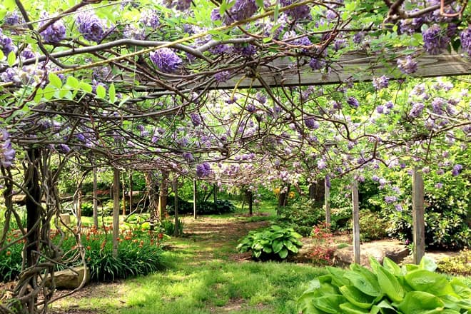 western kentucky botanical garden