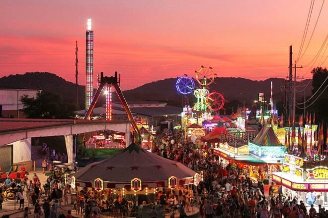 williamson county fair