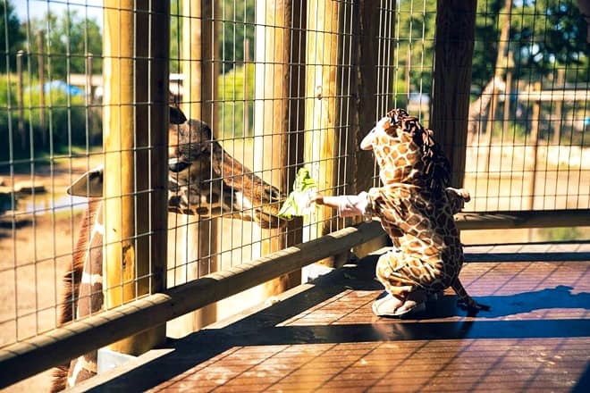 abilene zoological park