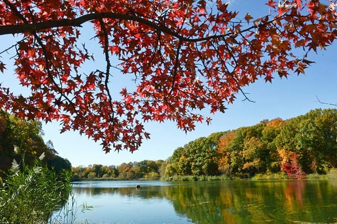 alley pond park &mdash; oakland gardens