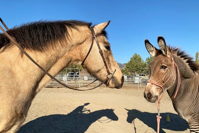 American Made Miniatures