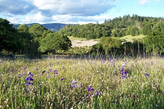 Annadel State Park
