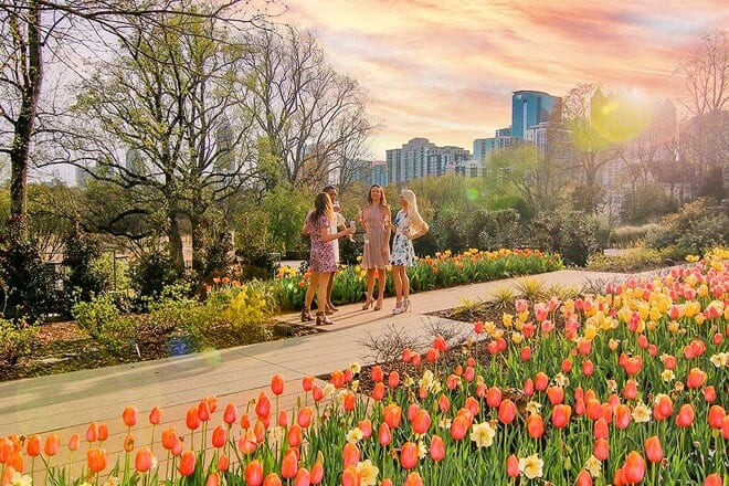 atlanta botanical garden &mdash; atlanta