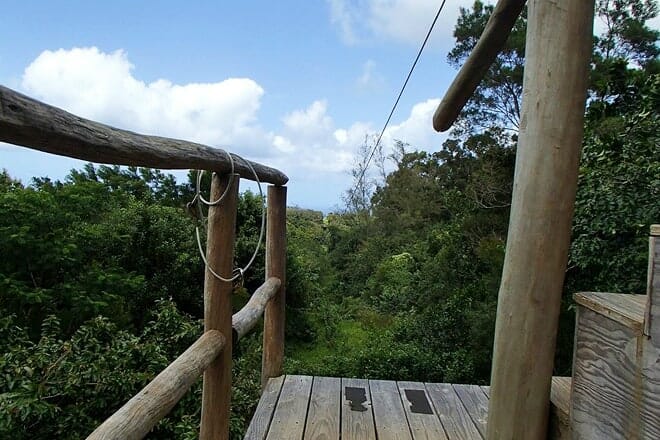 big island eco adventures ii zipline canopy tour (permanently closed)