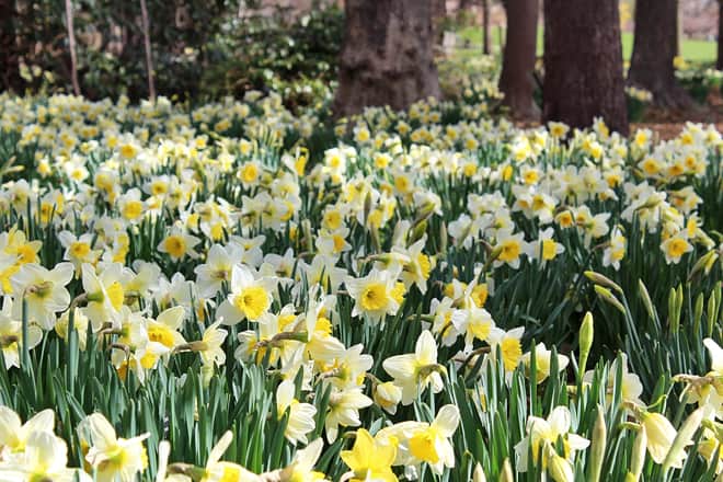 blithewold &mdash; bristol