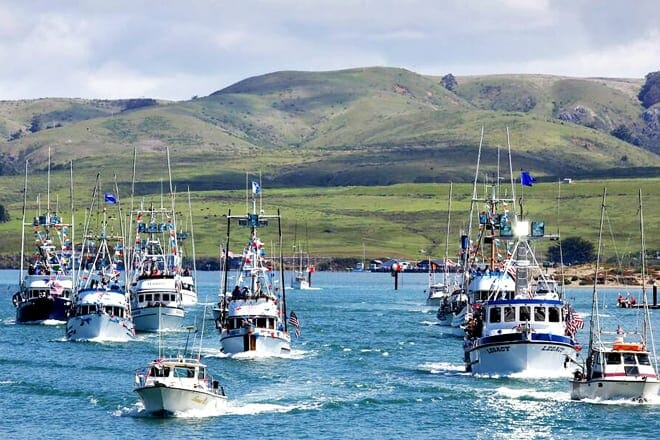 bodega harbor