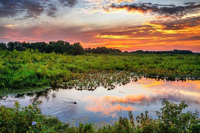 bombay hook national wildlife refuge — smyrna