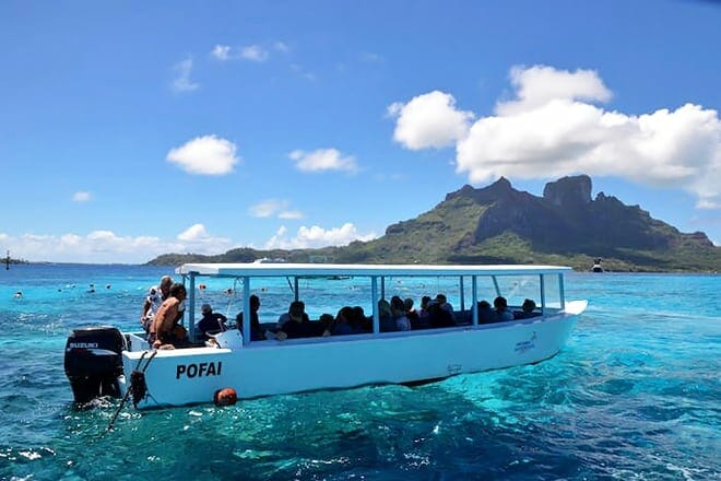 bora bora glass bottom boat tour