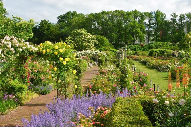 brooklyn botanic garden