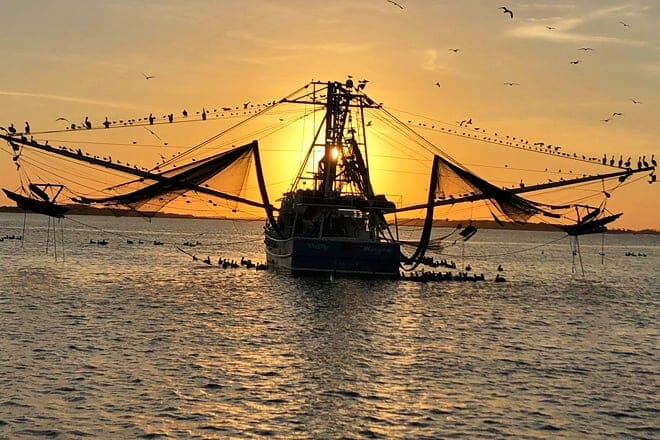 Captain Derek's Dolphin Adventure