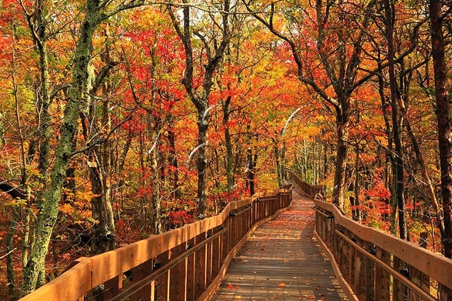 cheaha state park — delta