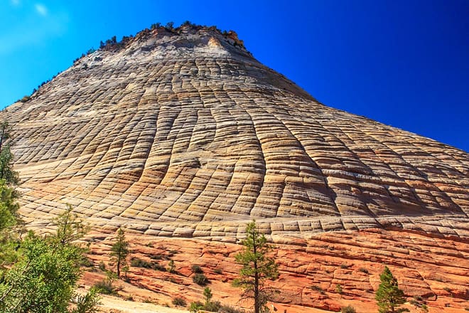 checkerboard mesa