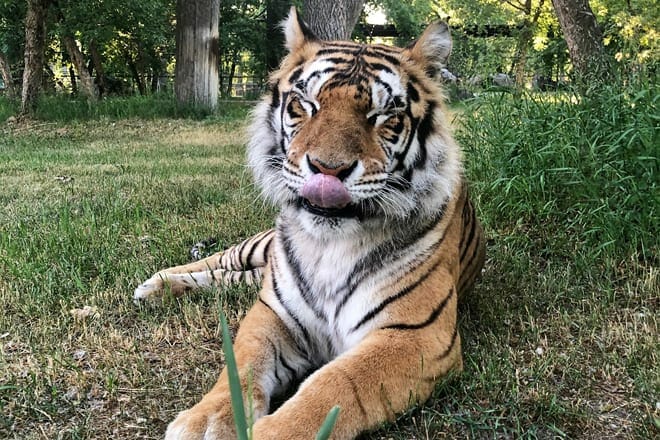 dakota zoo — bismarck