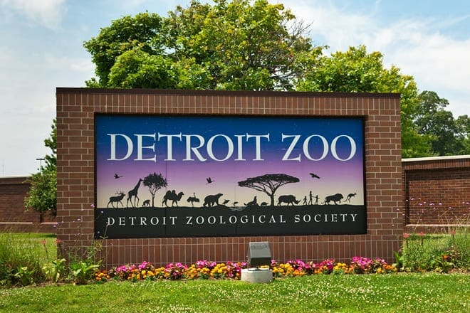 detroit zoo