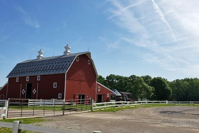 domino's petting farm