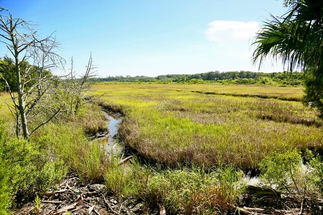 Egan&rsquo;s Creek Greenway