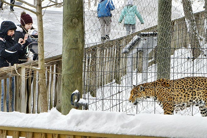 erie zoo