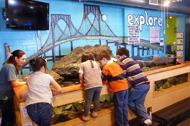 exploration center and aquarium