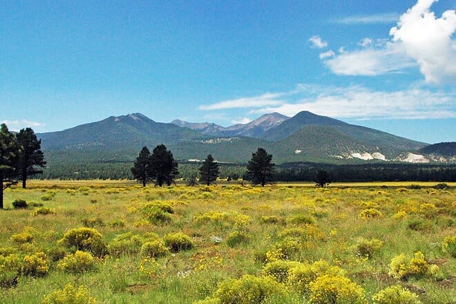 flagstaff