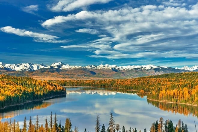 flathead national forest