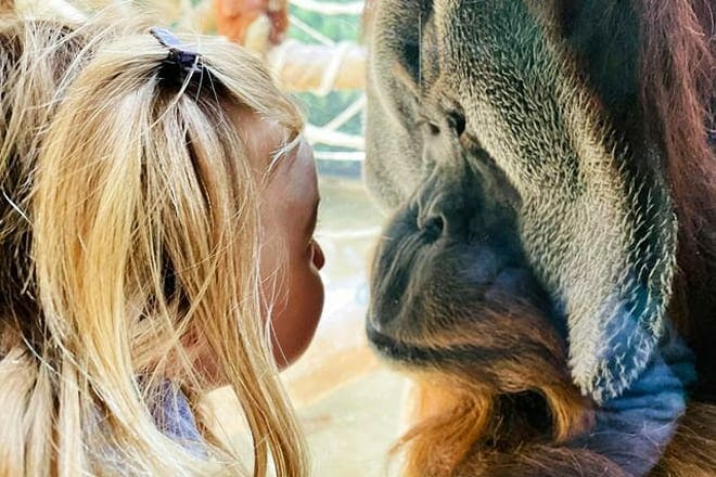Fort Wayne Children&rsquo;s Zoo