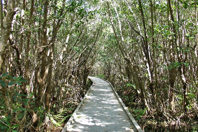 four mile cove ecological preserve