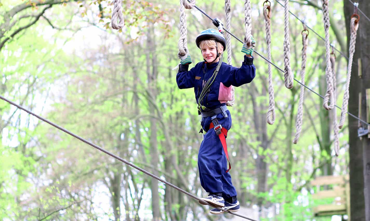 fun things to do in ann arbor with kids