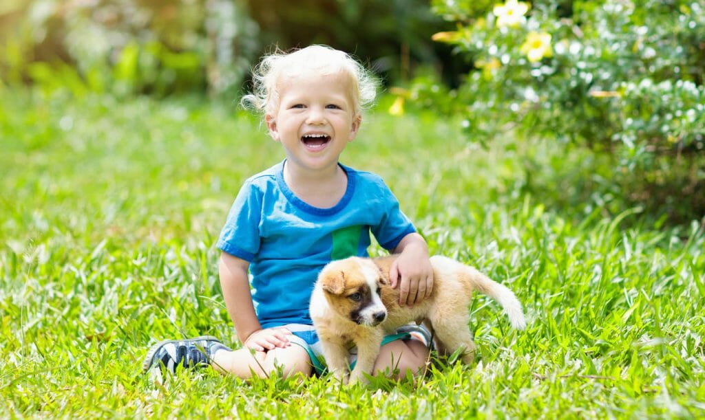 17 Fun Things to Do in Cape May with Kids (for 2026)
