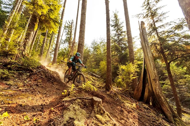 galbraith mountain bike park