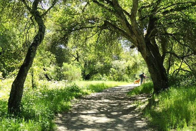 garland ranch regional park