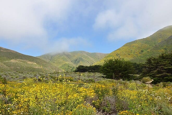 garrapata state park