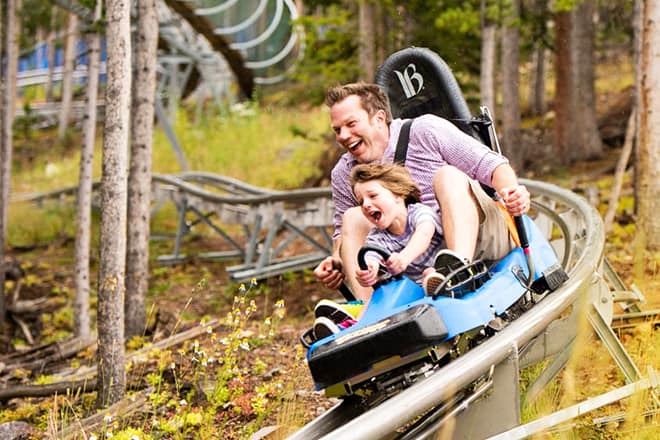 gold runner alpine coaster