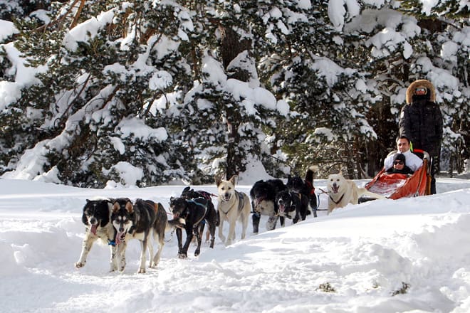 good times adventures