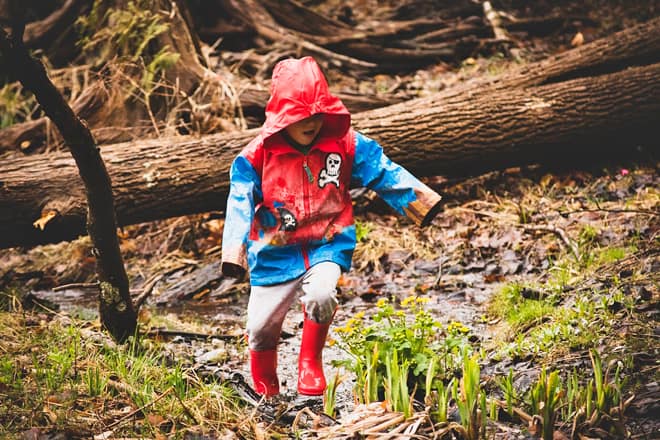 Grand Traverse Conservation District/Boardman River Nature Center
