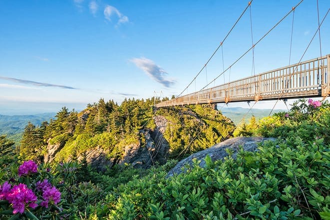 grandfather mountain