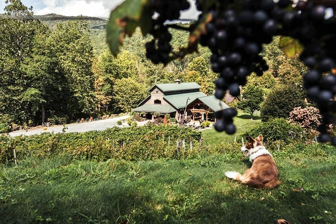 grandfather vineyard & winery